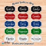 Etiquetas para Temperos: PDF grátis para imprimir e organizar!